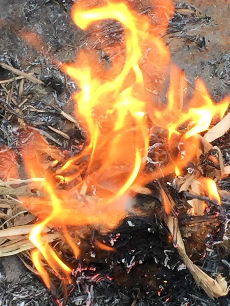 In depth fire bow stance and technique video | Woodland Ways