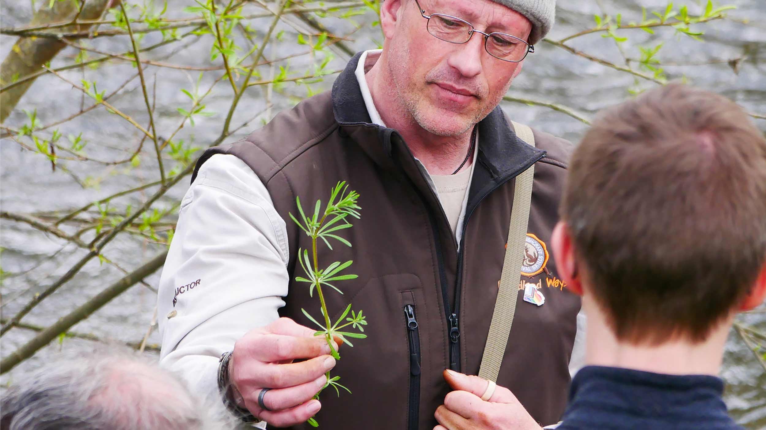 Plant and Tree Identification Courses | Woodland Ways