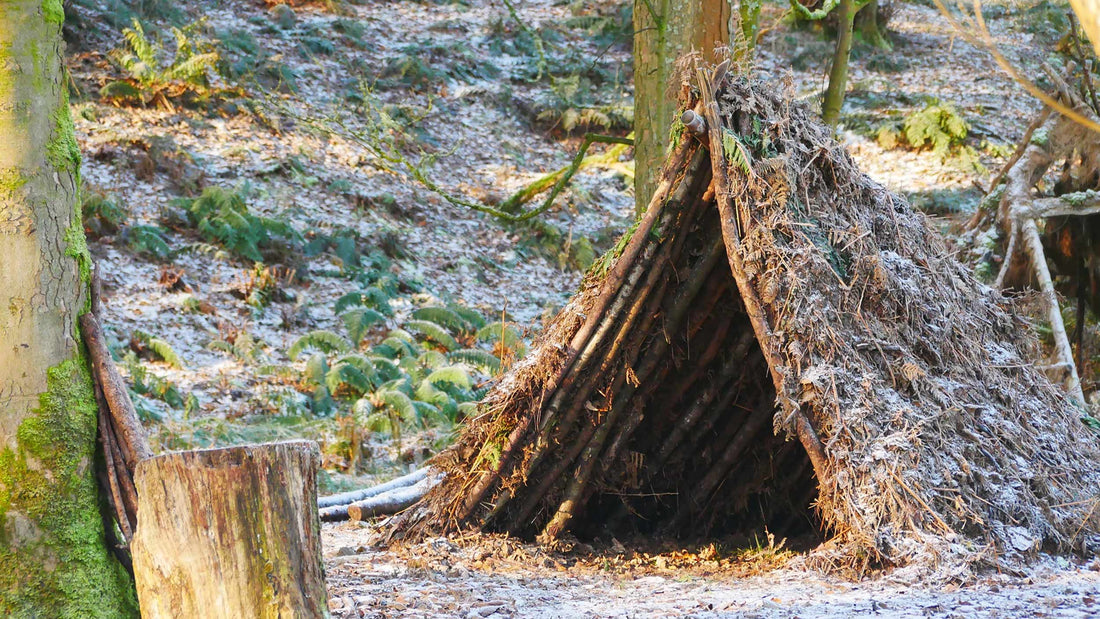 Shelter Building | Woodland Ways