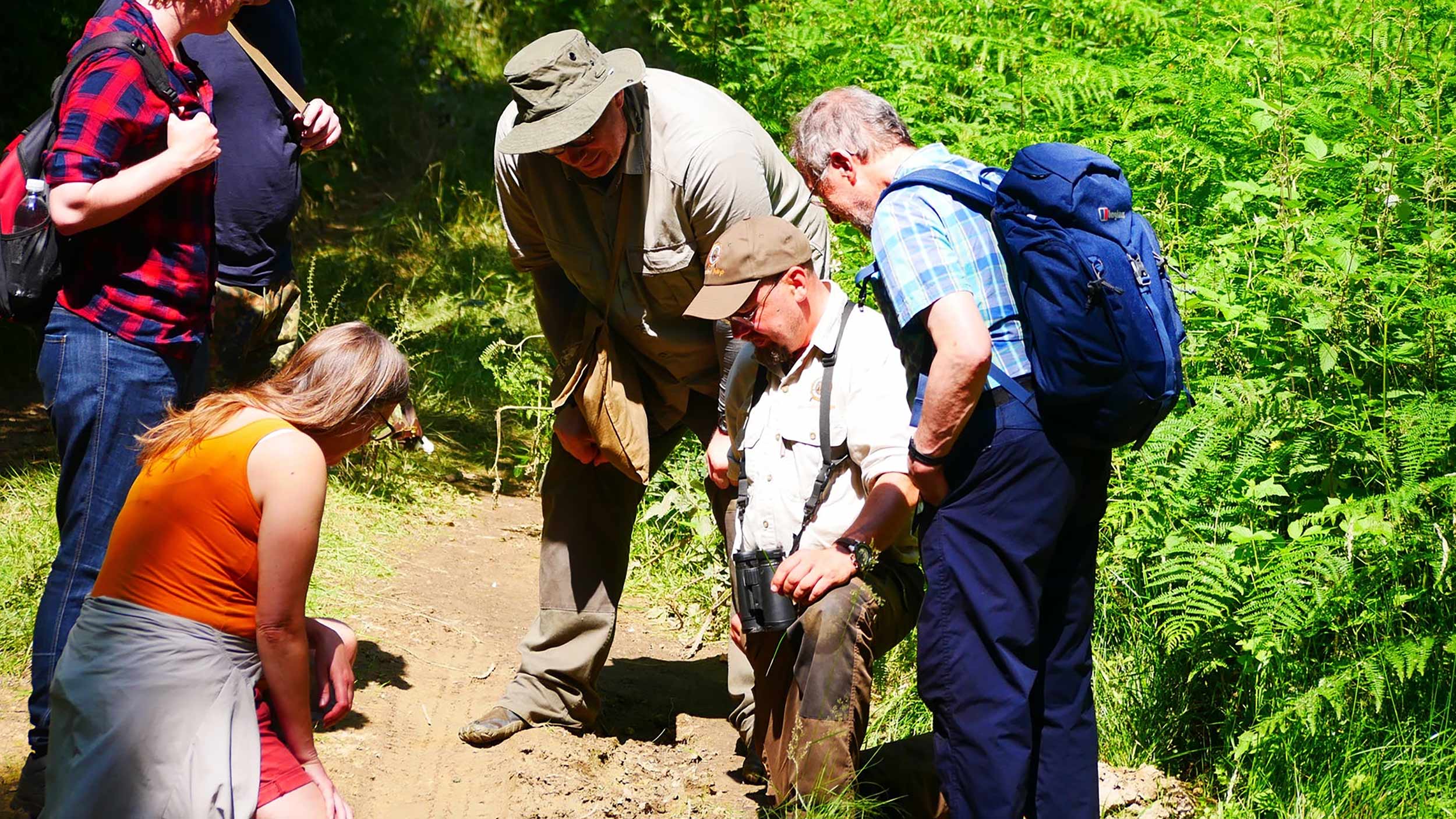 Fauna and Tracking Skills | Woodland Ways