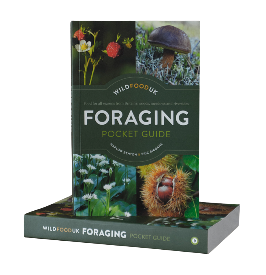 Wild Food UK Foraging Pocket Guide – Woodland Ways