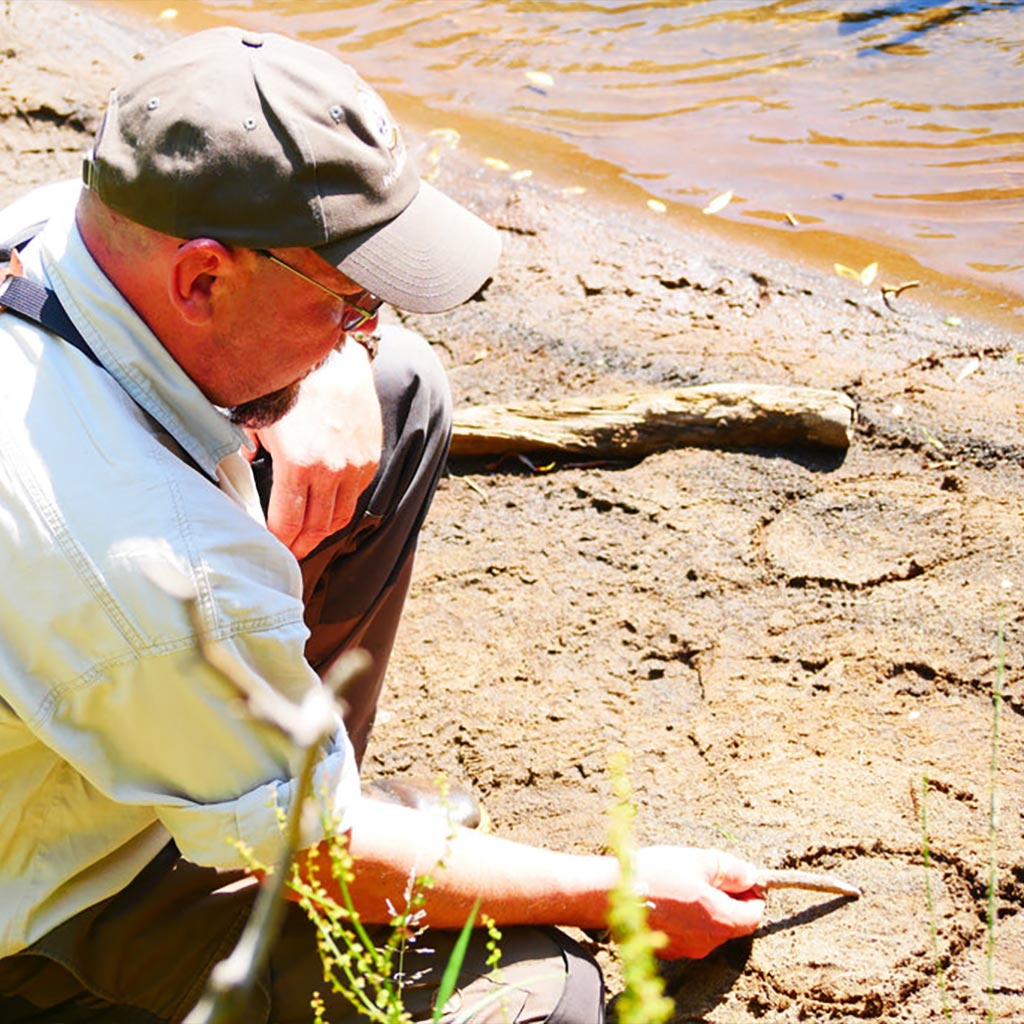 Tracking Weekend Course - Oxfordshire | Woodland Ways