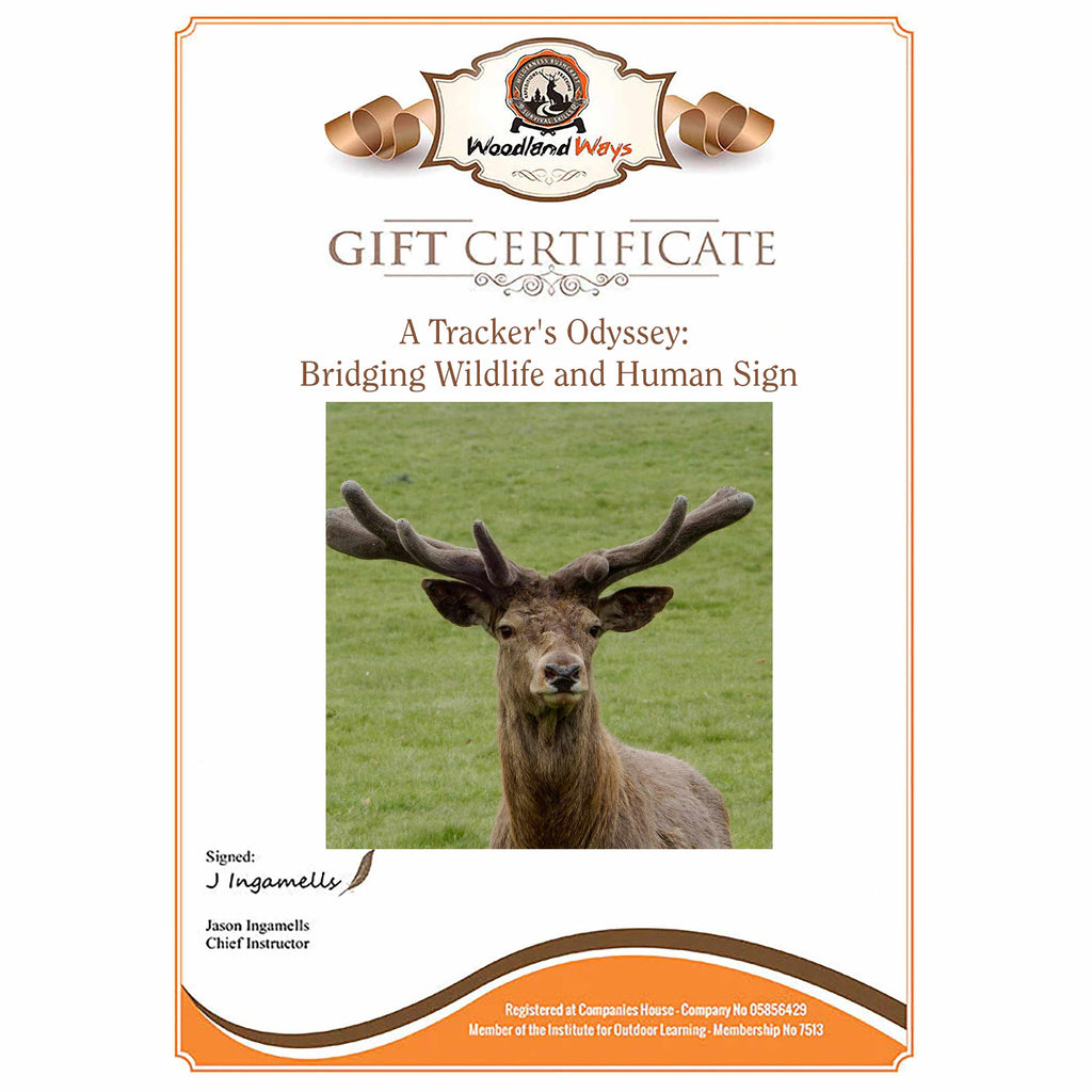 Gift Voucher - A Tracker's Odyssey: Bridging Wildlife and Human Sign ...